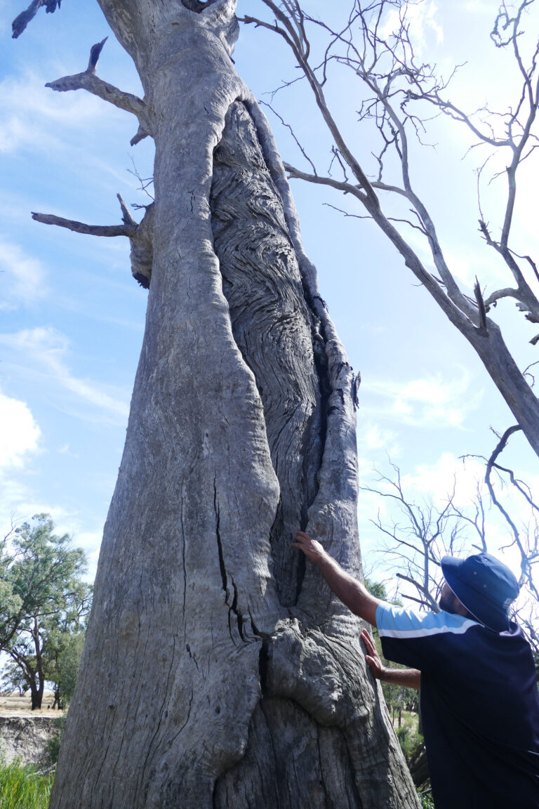 Wimmera CMA | Our partners