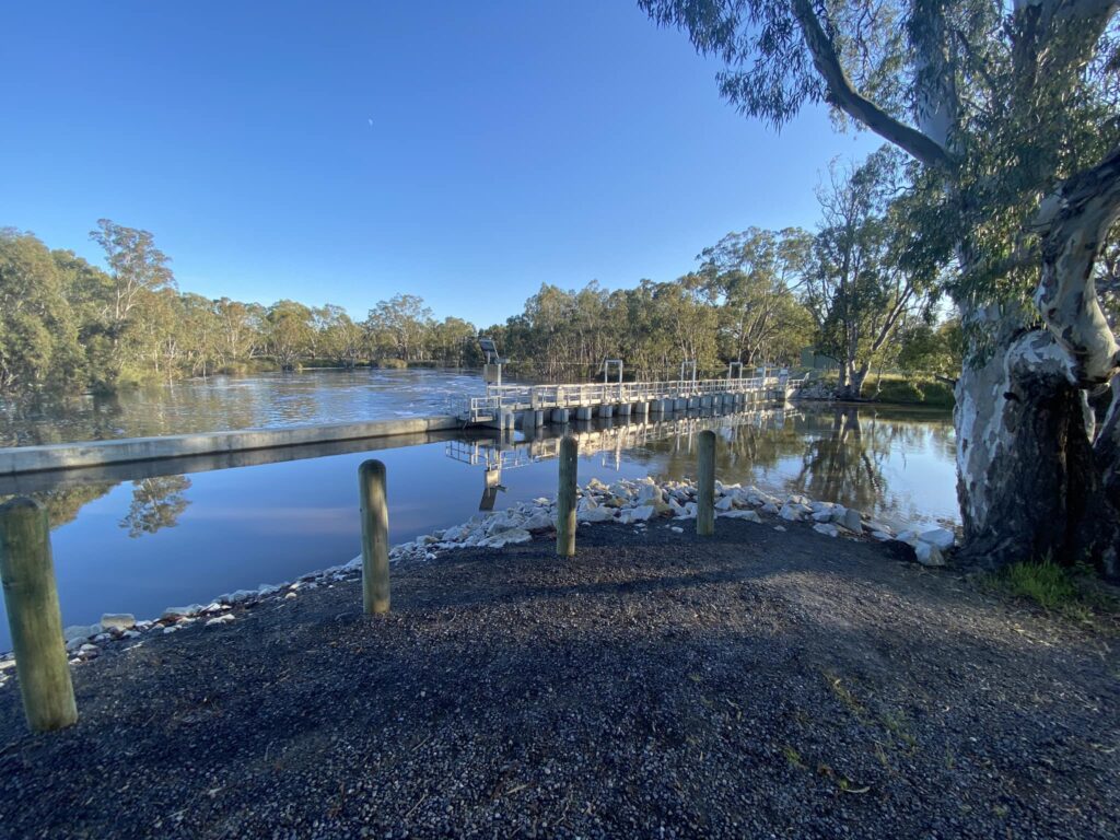 Wimmera CMA | Wimmera River update from Dimboola