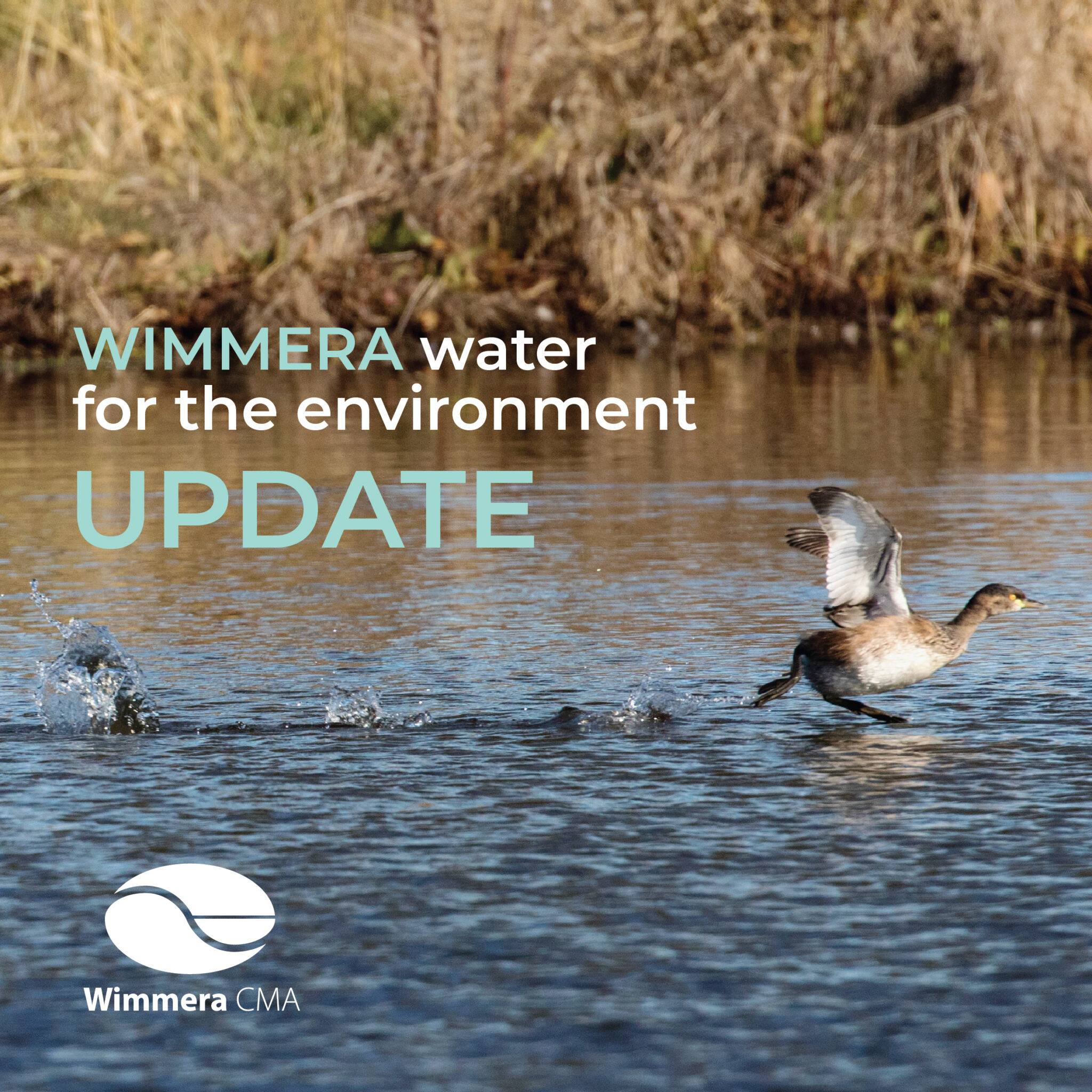 Wimmera CMA | Home
