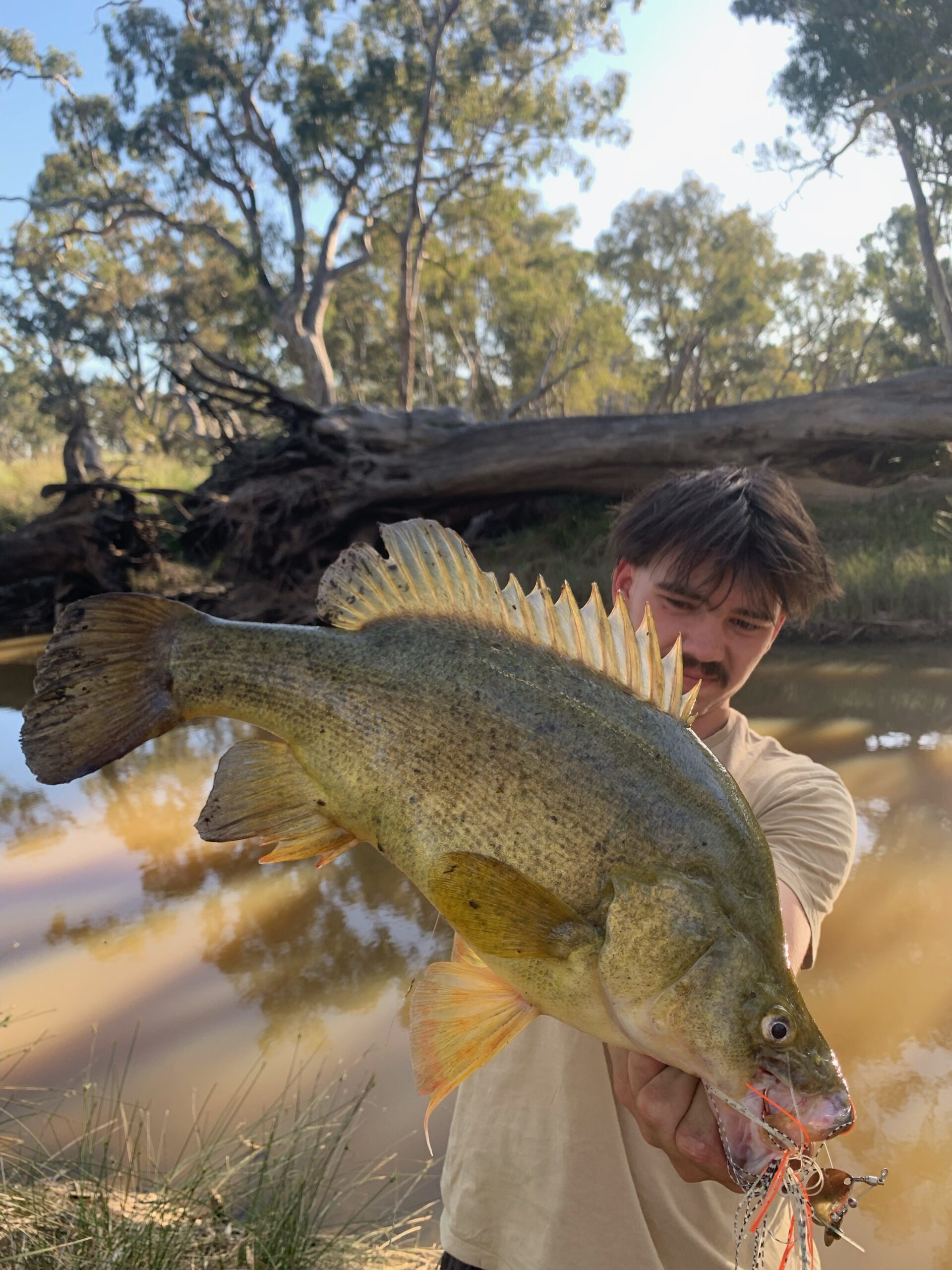 Wimmera CMA | FISHING FOR INFO: Yellowbelly research