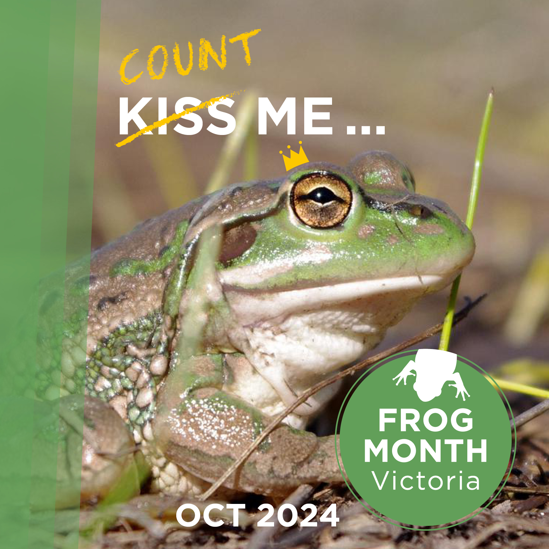 Wimmera CMA | Frogtober – Small Actions, Big Impact