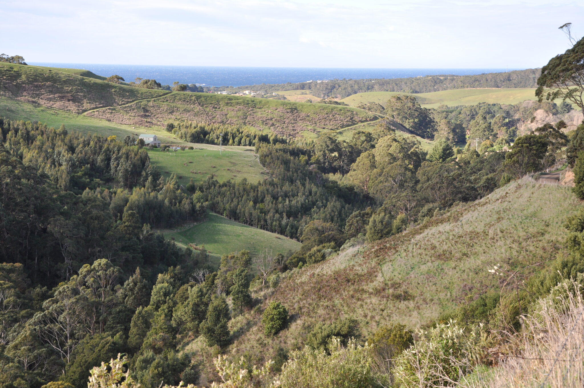 Wimmera CMA | Livestock and Landscape farm tour